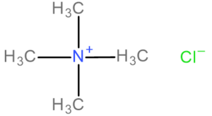 取扱商品 – サンケミカル株式会社